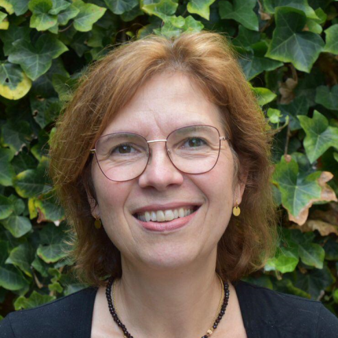 MoleMann Mental Health | Apeldoorn